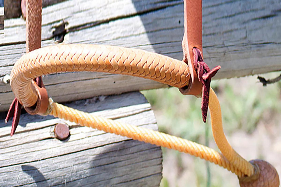 Horse Bosal: What is it, How to Use it & Common Questions