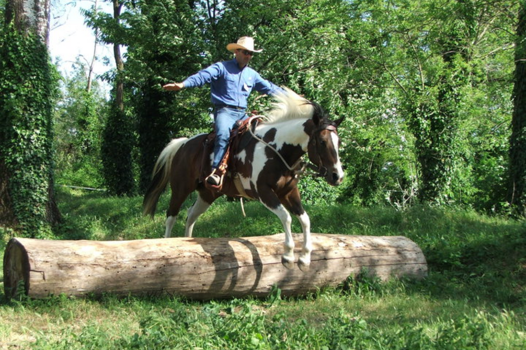 Parelli Principles on the Trail