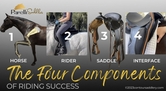 Mastering Riding Success: The Vital Four Components with Parelli Saddl