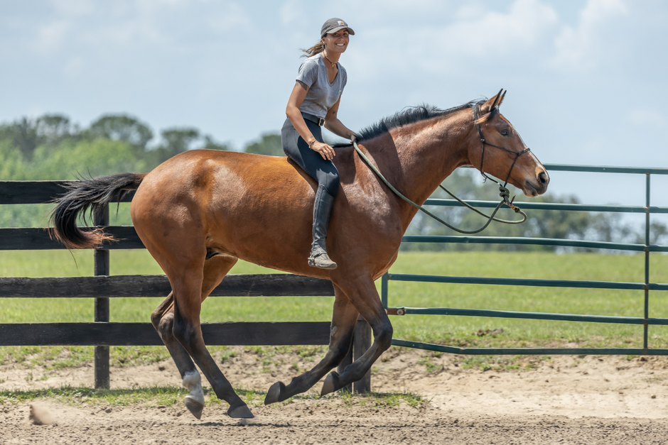 Principle Number 4: Horses and Humans Have Mutual Responsibilities