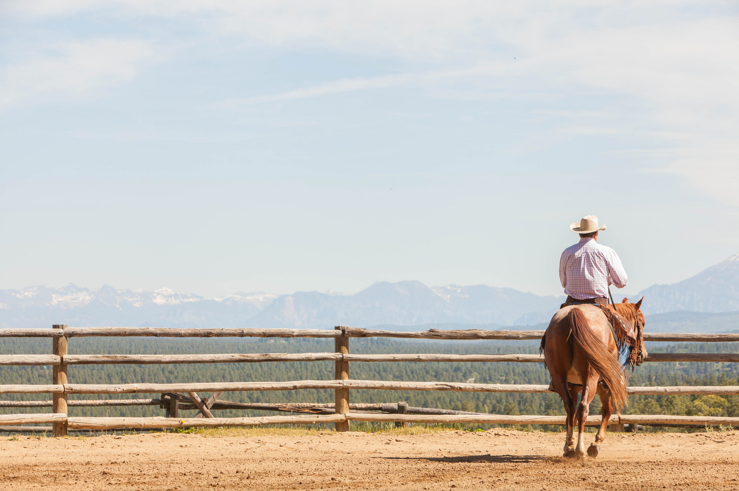 Colt Starting and Colt Breaking – The Differences