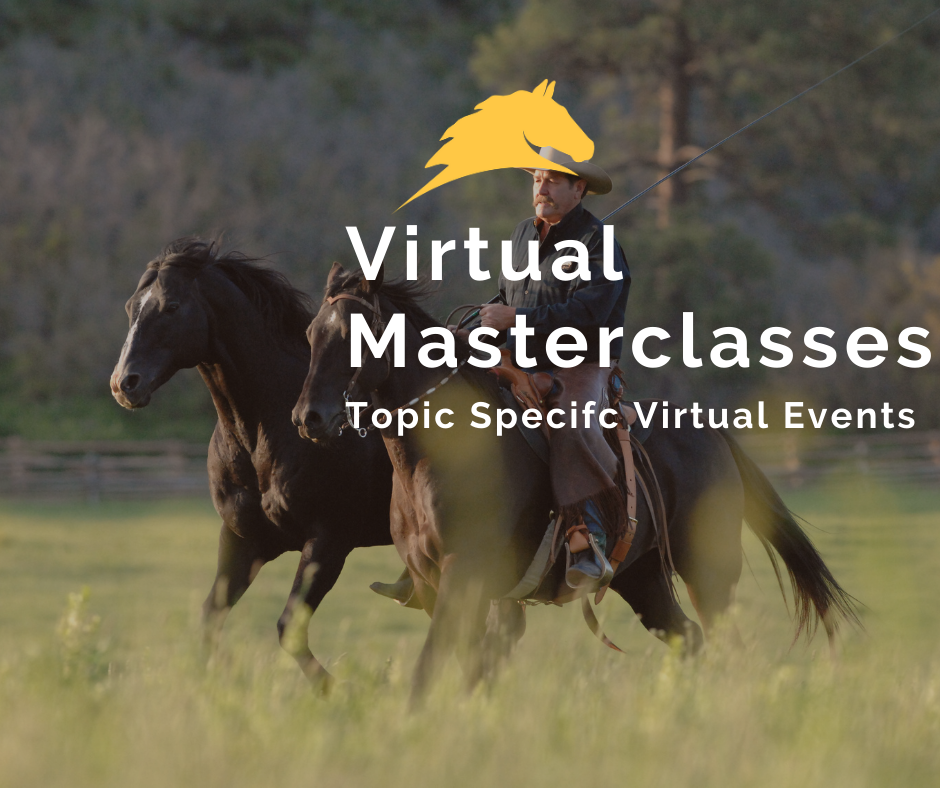 Virtual Workshops