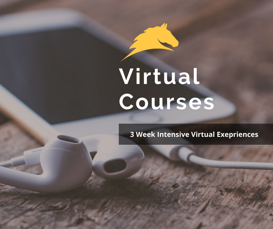 Virtual Courses