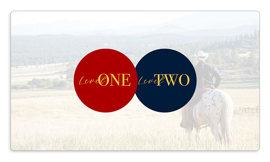 The Parelli Levels Program