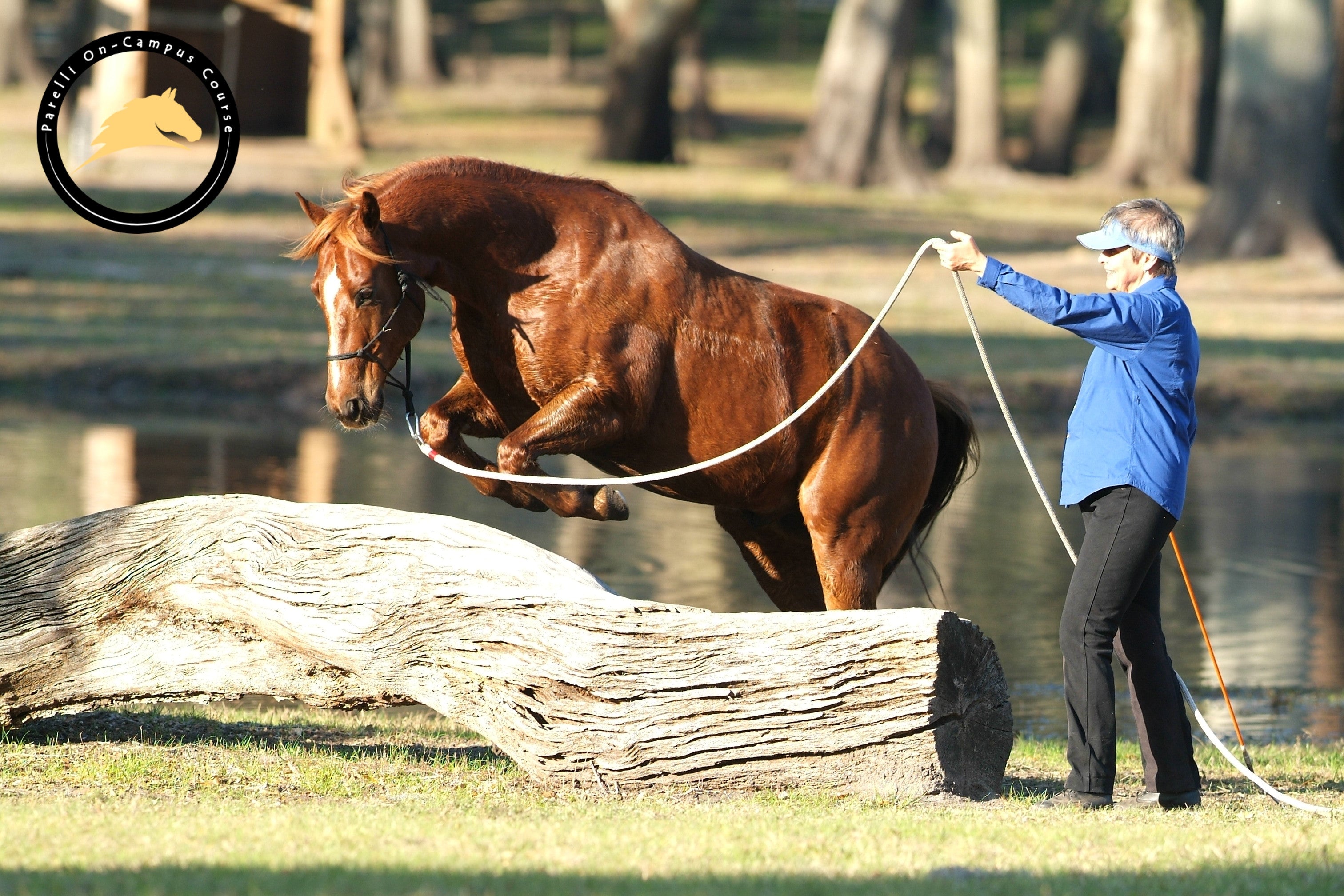 Parelli Get Started Clinic 2025