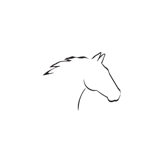 Parelli Levels Programs