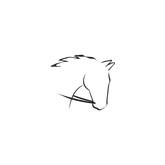 Parelli Levels Programs