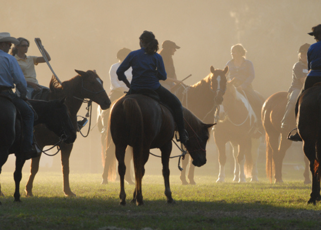 Parelli Natural Horsemanship
