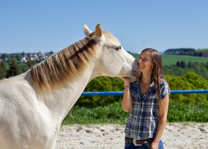 Parelli Natural Horsemanship