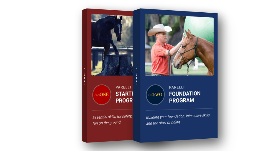 Parelli Levels Programs