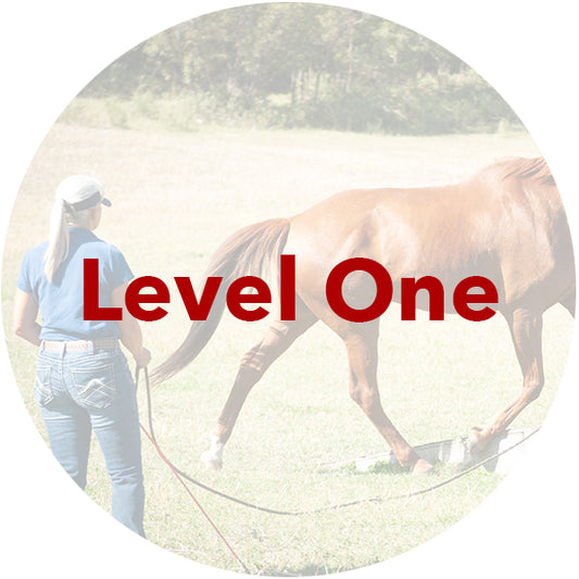 Parelli Natural Horsemanship