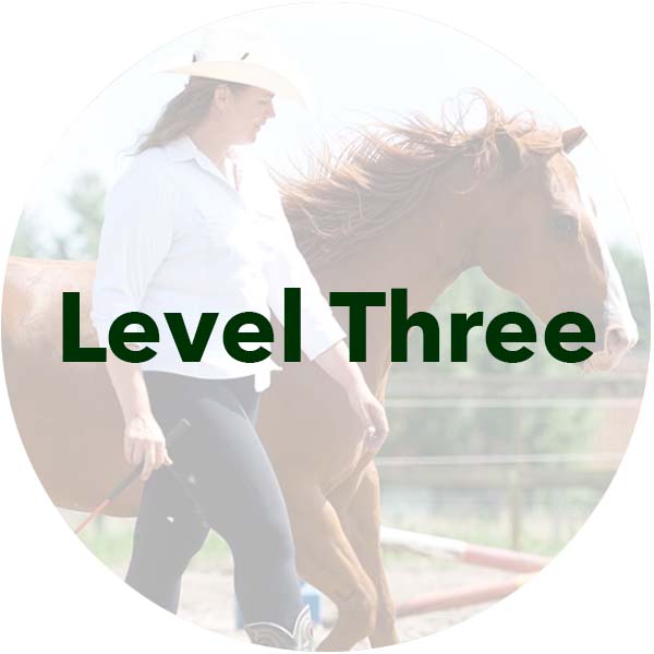 Parelli Natural Horsemanship