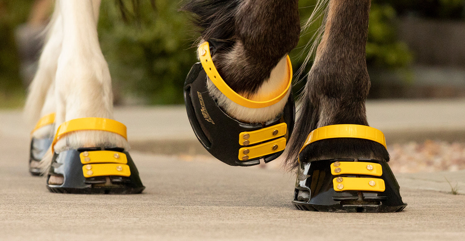 Parelli & Scoot Boots