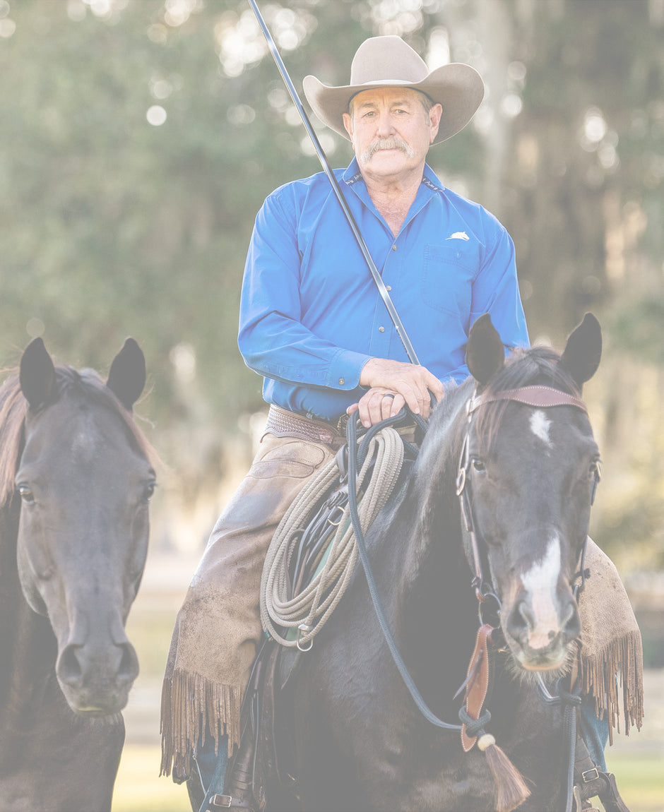 The Parelli Levels Program