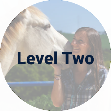 Parelli Natural Horsemanship