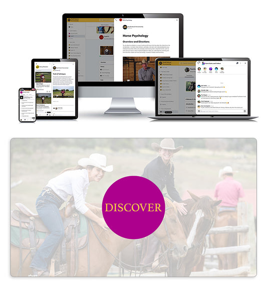 The Parelli Levels Program