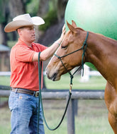 The Parelli Levels Program