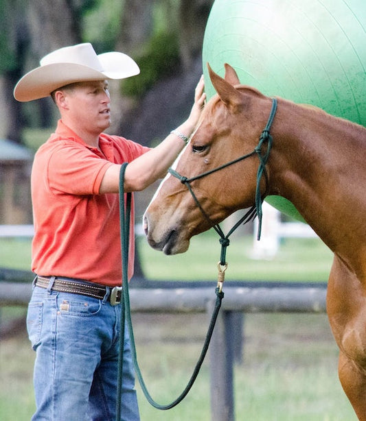 The Parelli Levels Program