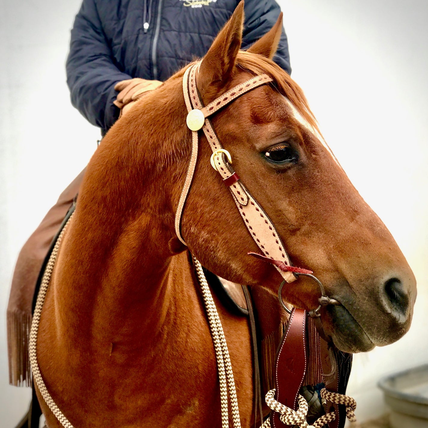 Parelli Rough Out Snaffle Bridle (Complete Set)