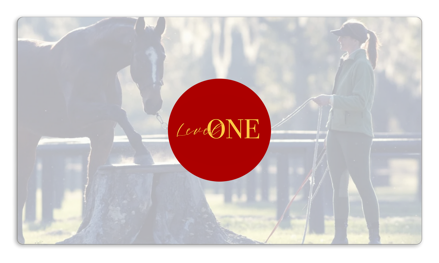 The Parelli Levels Program