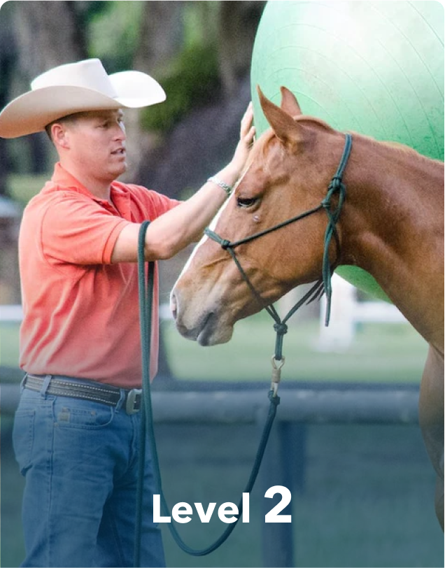 Parelli Natural Horsemanship