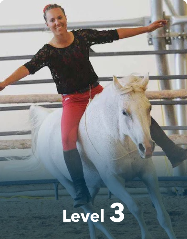 Parelli Natural Horsemanship