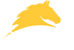 Bits Vs. Hackamores - What is Best for My Horse?