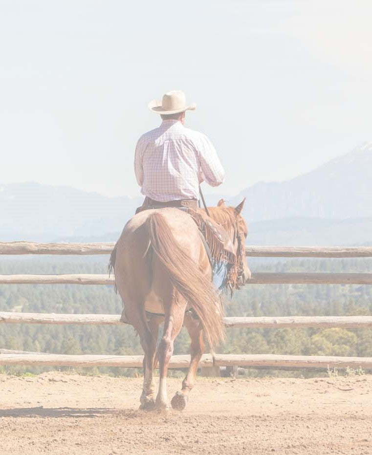 The Parelli Levels Program