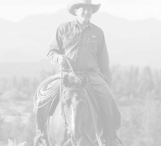 Parelli Natural Horsemanship