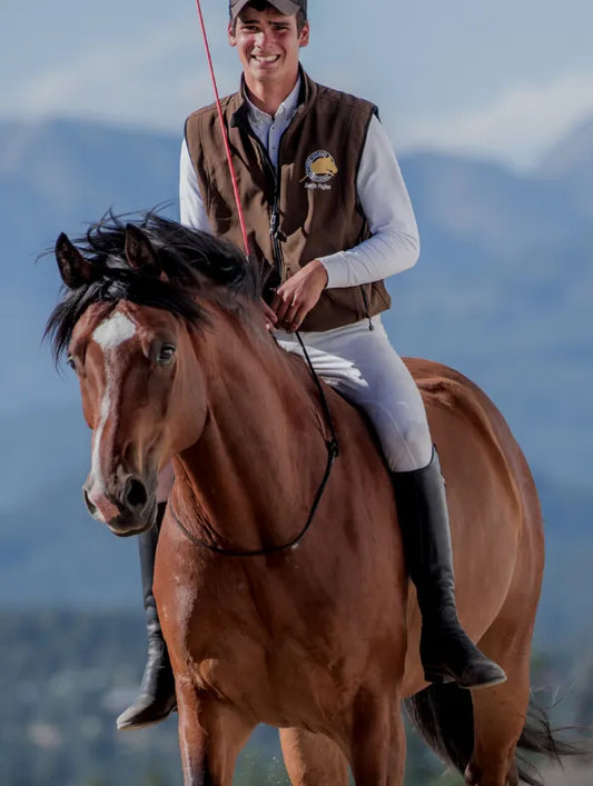 The Parelli Levels Program