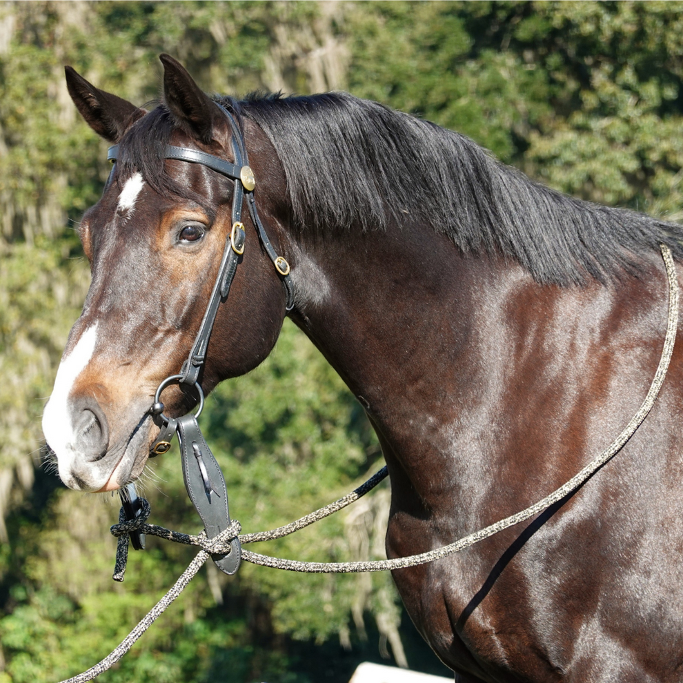 Parelli Snaffle Bridle (Complete Set)