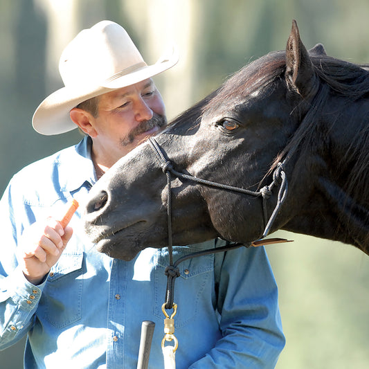 Equipment: Level One & Two