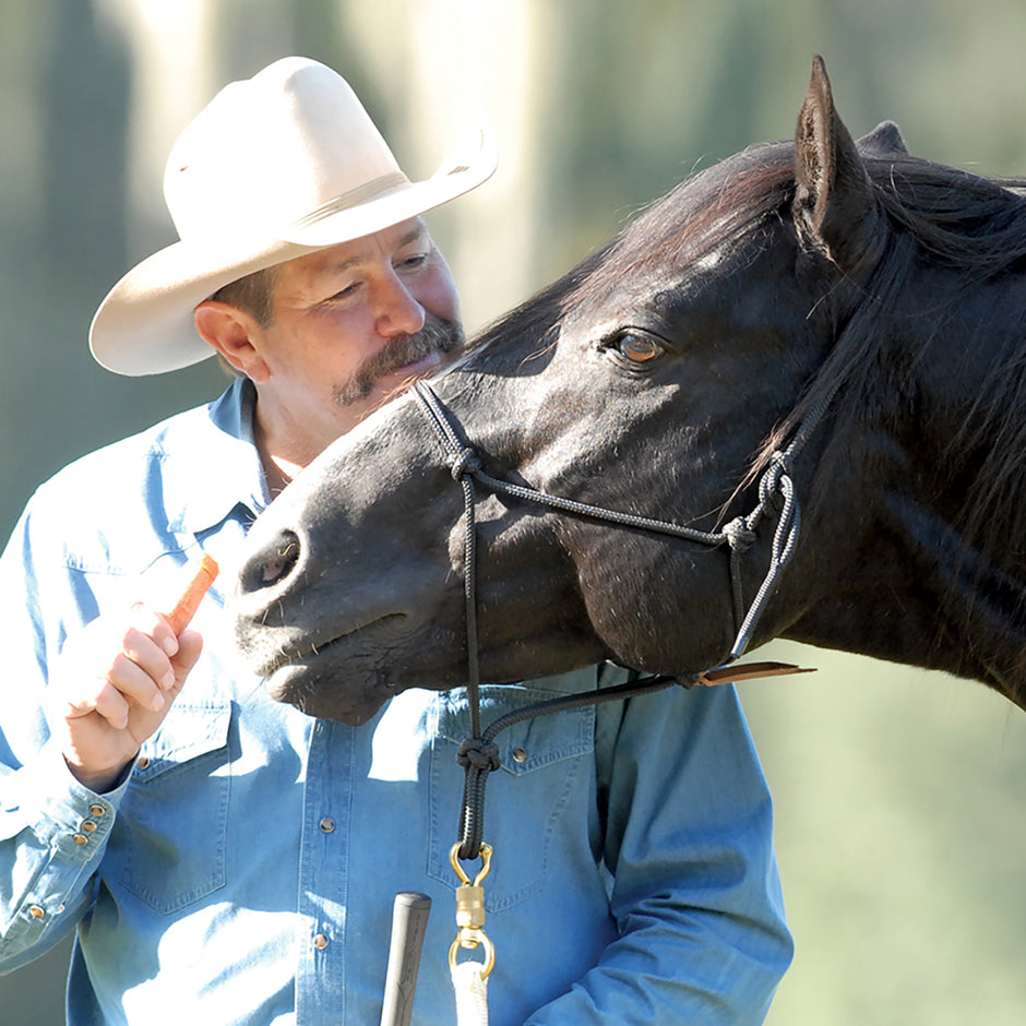 Equipment: Level One & Two