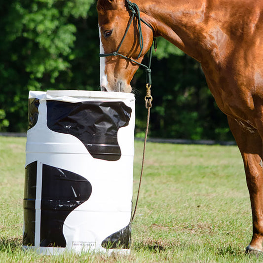 Equipment: Level Three & Four